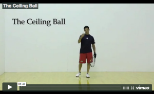 The Ceiling Ball - CliffSwain.com